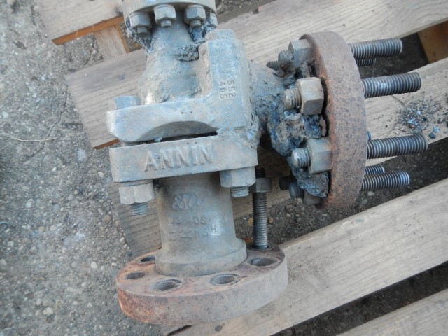 Annin 2" 300 Rating, 316 Stainless Flanged Right Angle Control V ...