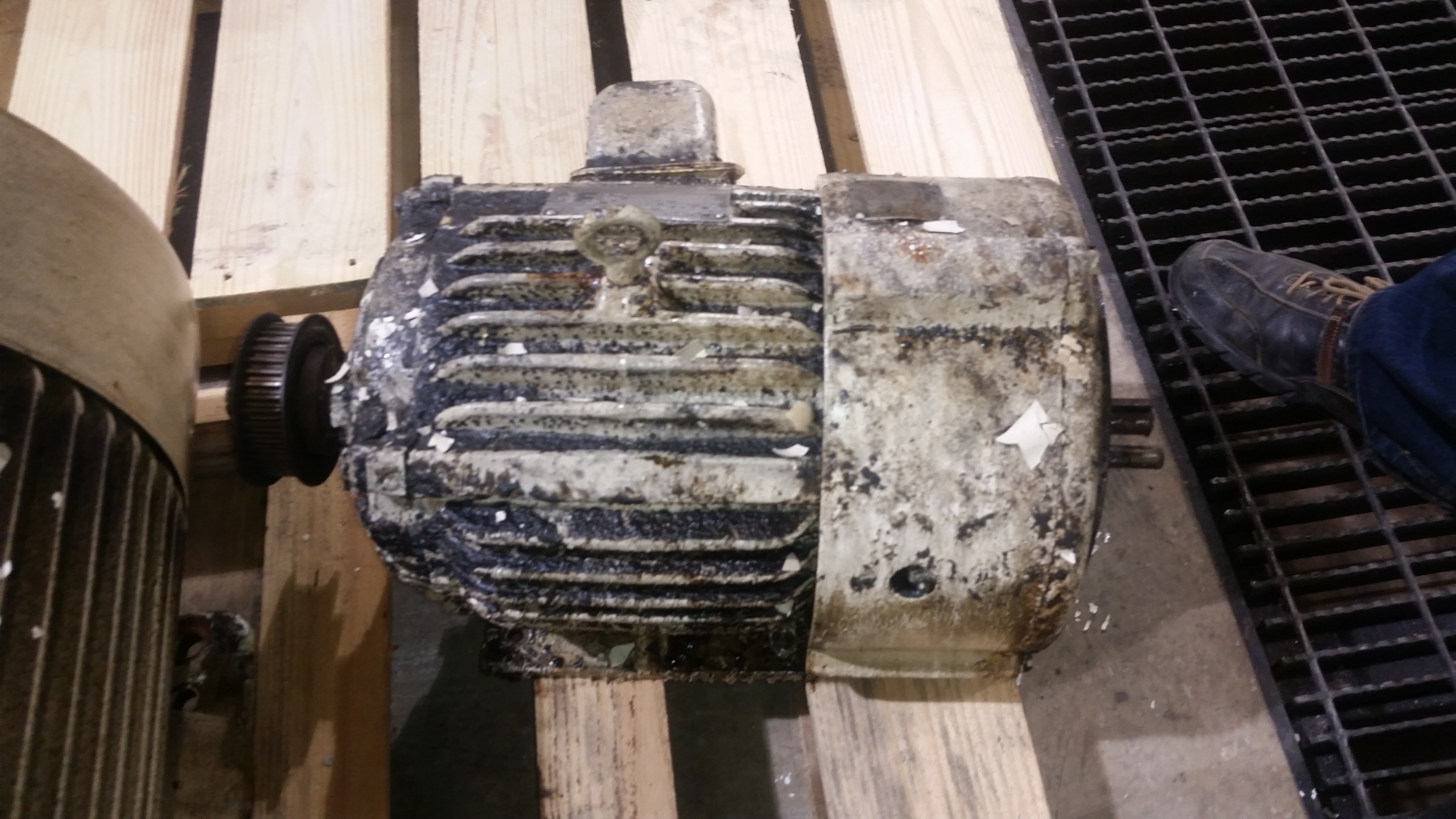 US Motors 3HP; 1175RPM; 460V; Frame: 215 D06 99083643 001 F ...
