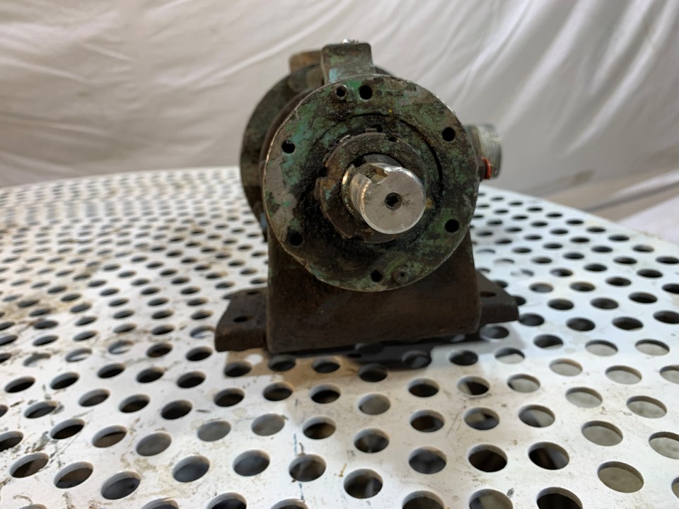 Viking H4724 1.5x1.5 SS Positive Displacement Pump, Transamerican ...